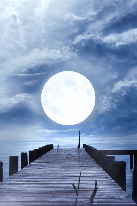 ソフトウェア開発・WEB・音楽制作のムーンソフト - 技術とアートでワクワクを提供するムーンソフト